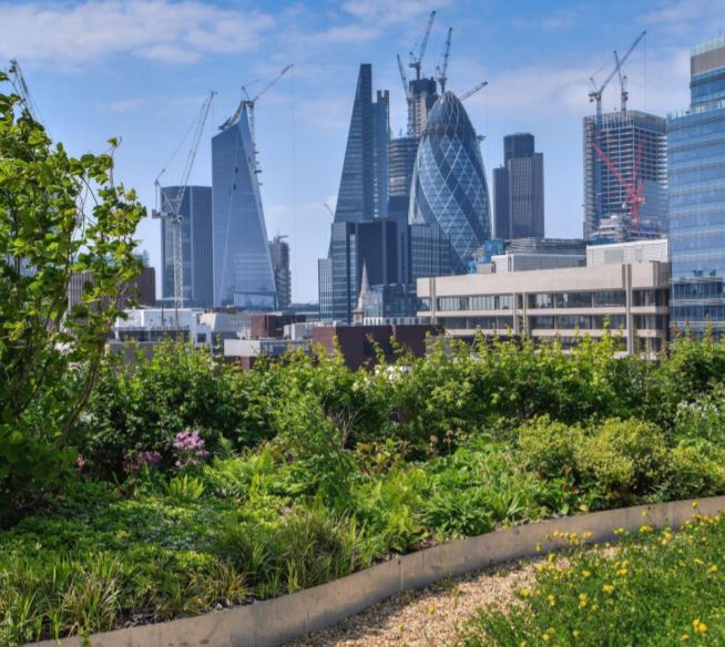 NextGen Webinar: Taking the initiative on sustainability in the City of ...