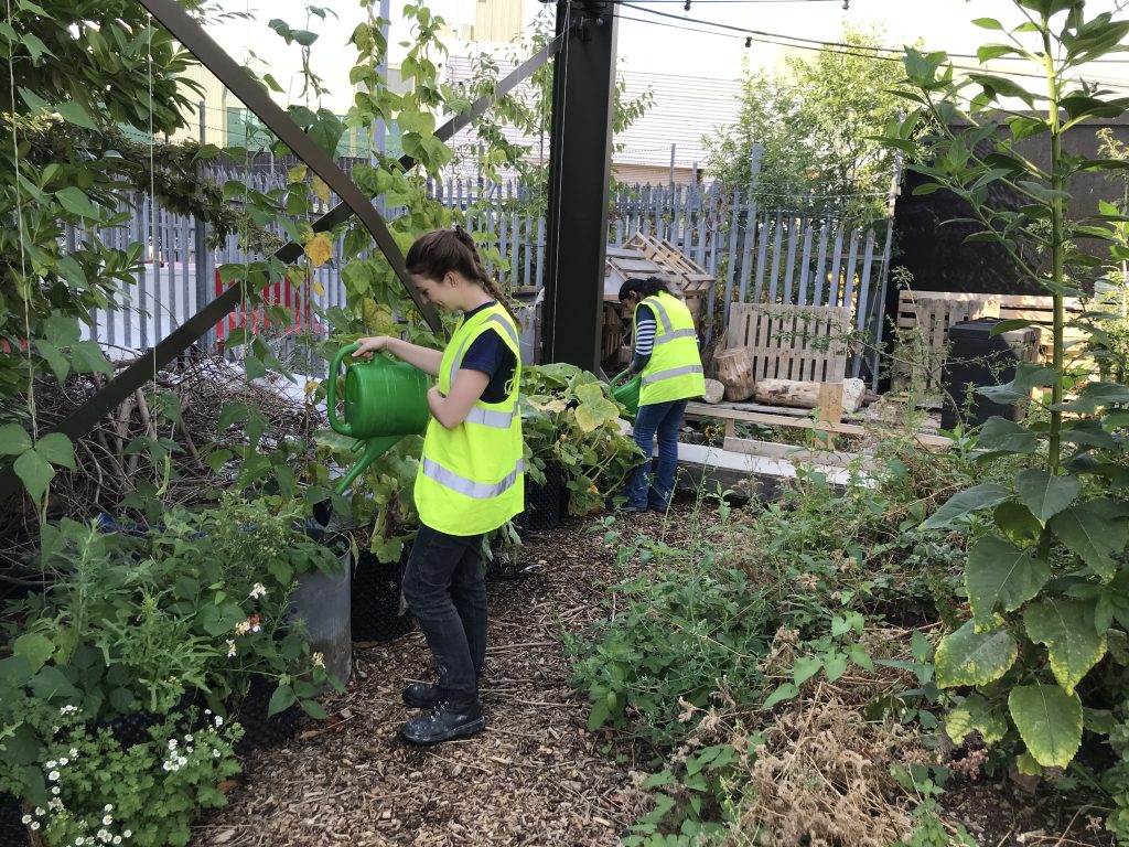 CPA NextGen: Creating a community garden at the famous former ...
